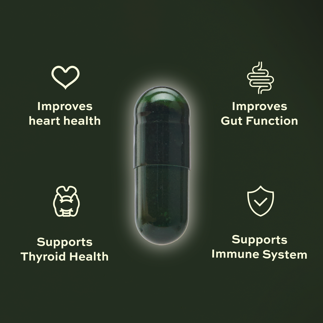 Irish Sea Moss - Vegan Algae Omega 3 ... – NothingFishy