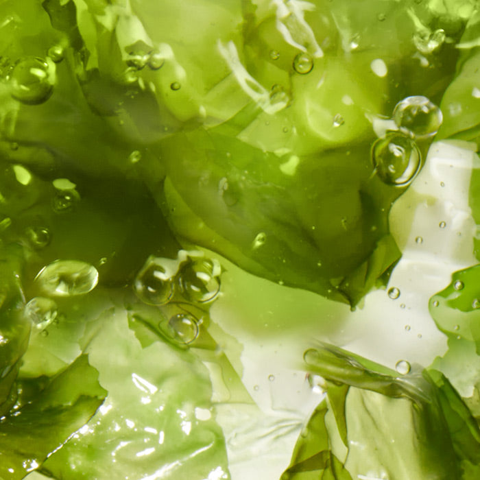 About nothing fishy - Vegan Algae Ome... – NothingFishy