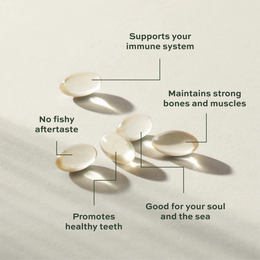 Algae Vitamin D3 - Vegan Algae Omega ... – NothingFishy